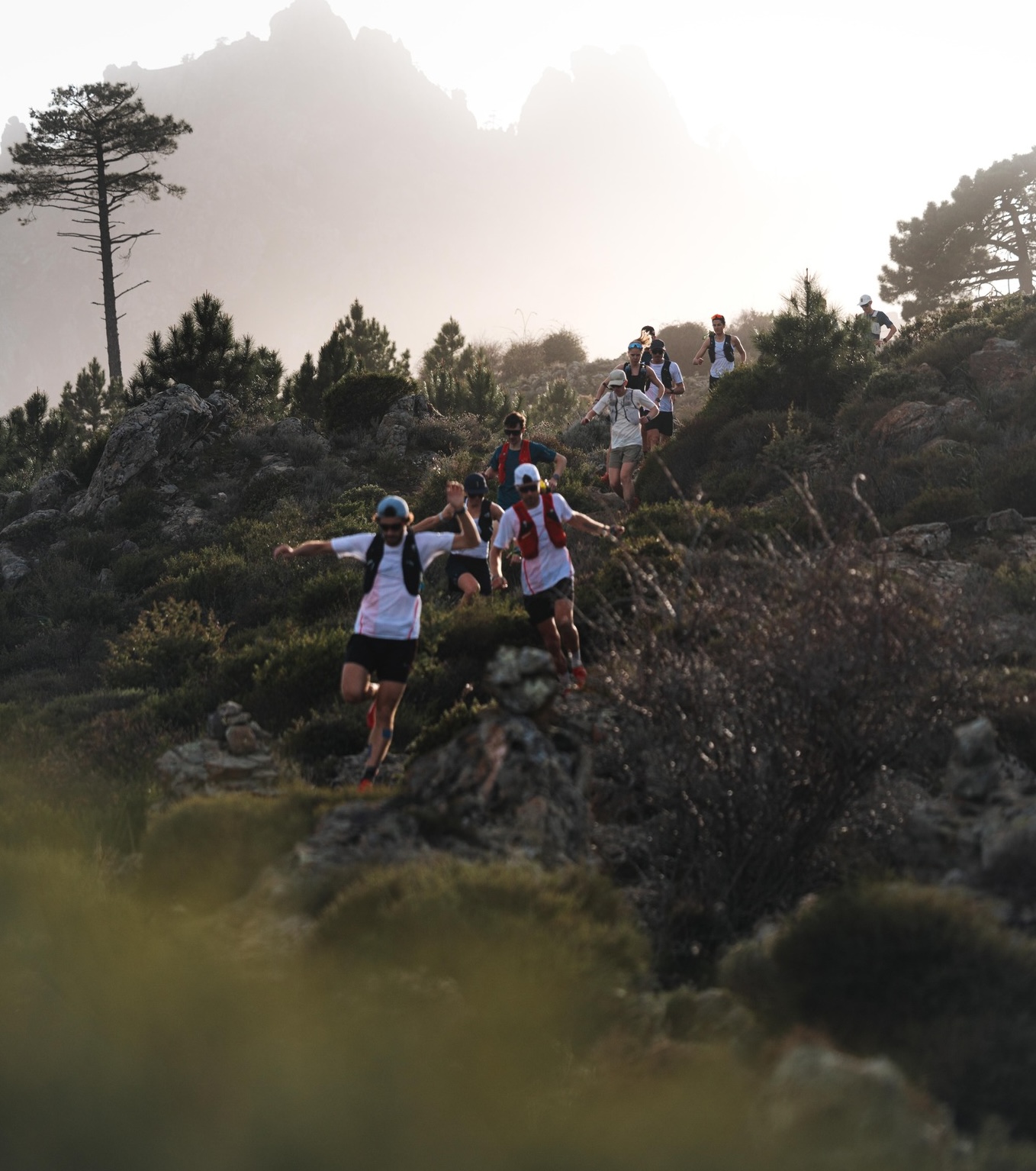 Captain Wallet - Leader du mobile wallet marketing en Europe