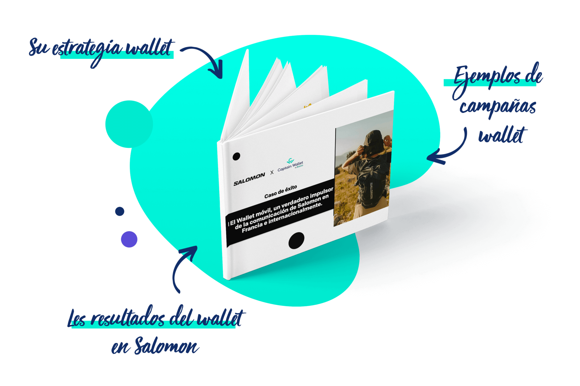 Salomon : dos casos de uso del wallet en más de 20 países - Captain Wallet